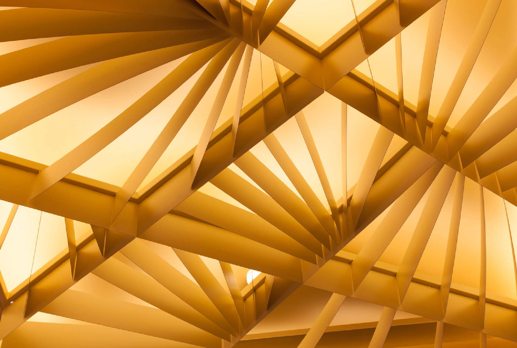 Arktura Atmosphera Lotus Customizable Ceiling System Acoustical Arktura Atmosphera Lotus Customizable Ceiling System Acoustical