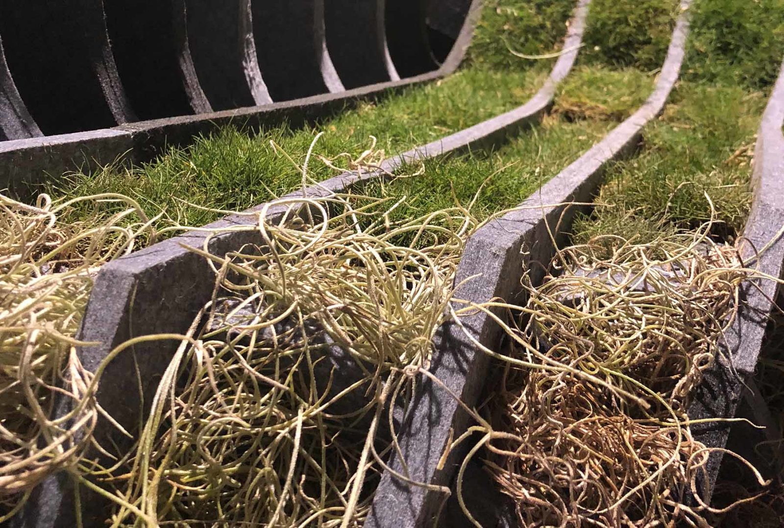 Animal Shelter Architecture | Architects for Animals - Arktura