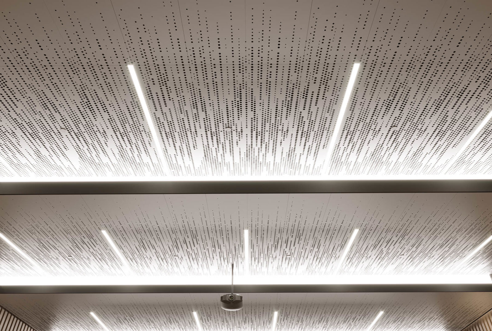 19 Creative Ceiling Design Ideas for Commercial Spaces - Arktura