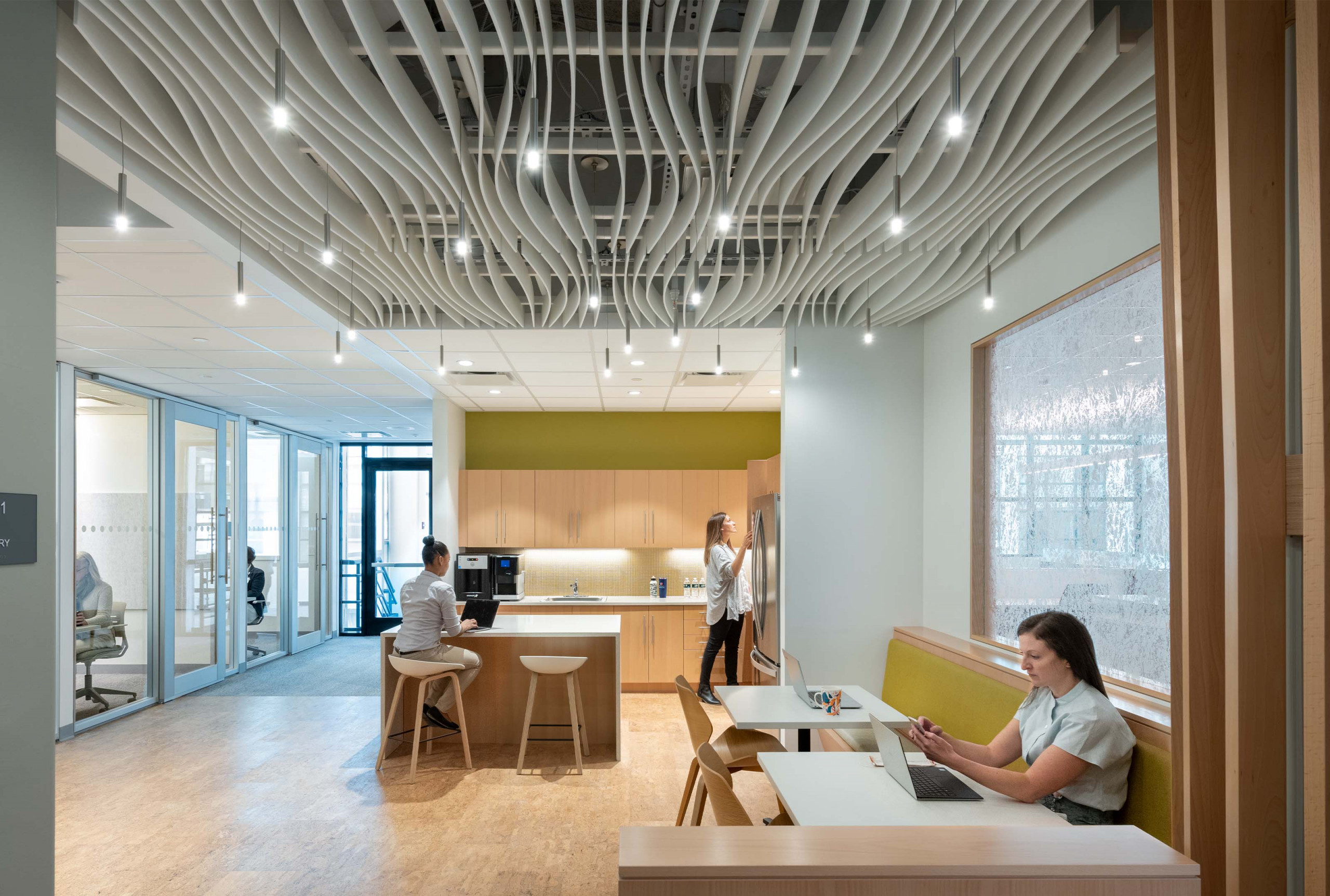 Biotech Organization - Arktura