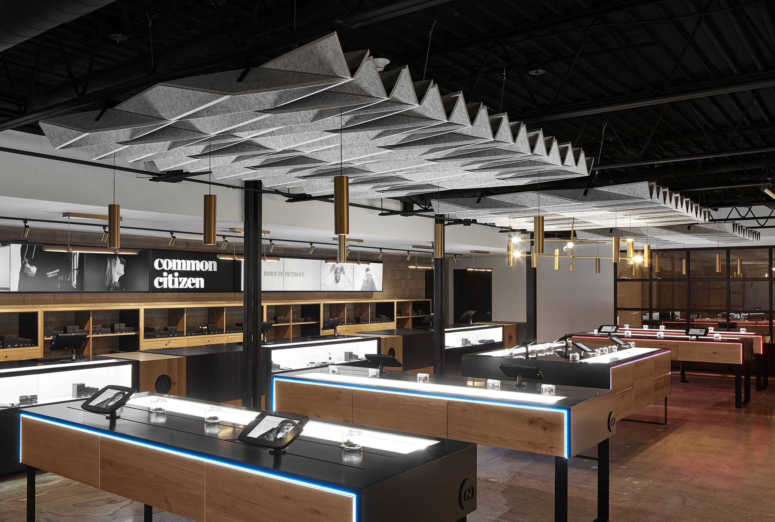 Common Citizen - Arktura